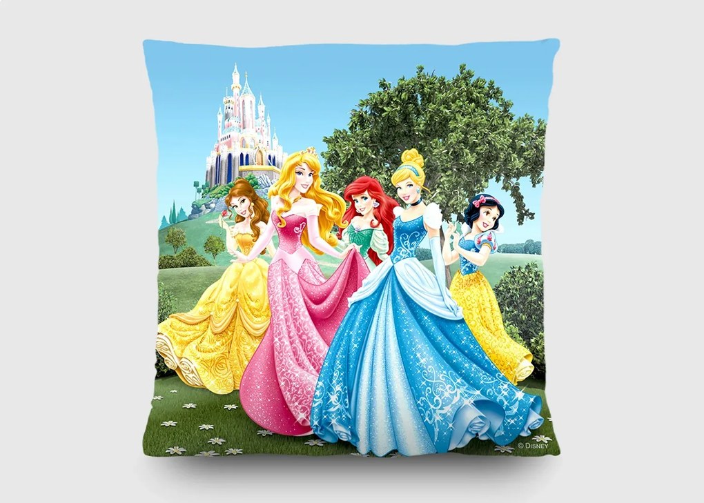 Dekorativní polštářek Princezny, Disney | 40 x 40 cm | DCND 3118