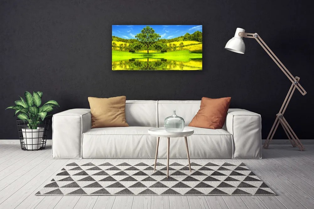 Obraz na plátně Louka Strom Příroda 100x50 cm