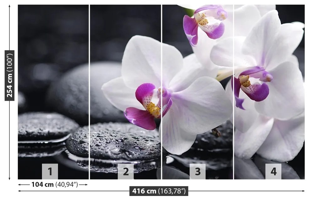 Fototapeta orchidej 104x70