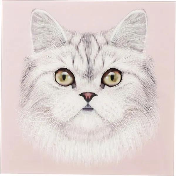 Obraz na skle Cat Face 60×60 cm