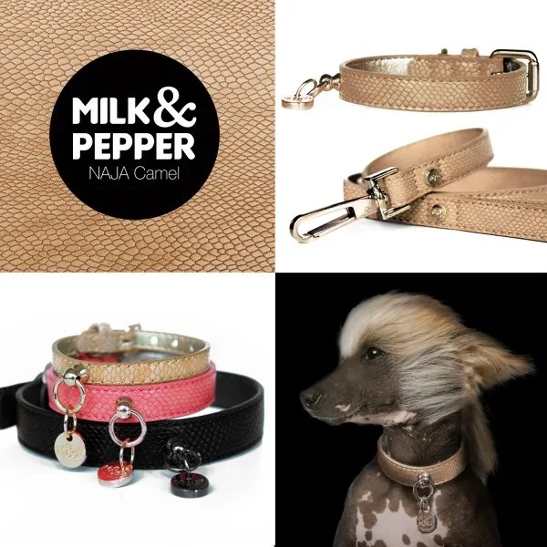 MILK&PEPPER Milkandpepper obojek pro psy Naja Camel Velikost: 40x2 cm