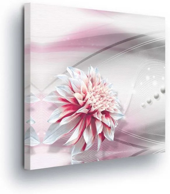 GLIX Obraz na plátně - Magický Růžový Květ 40x40 cm