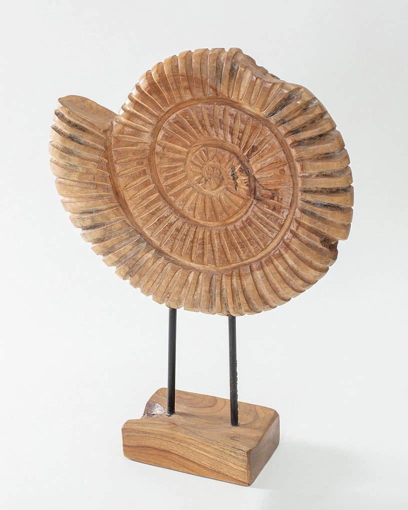 Dekorace Fossil 45 cm