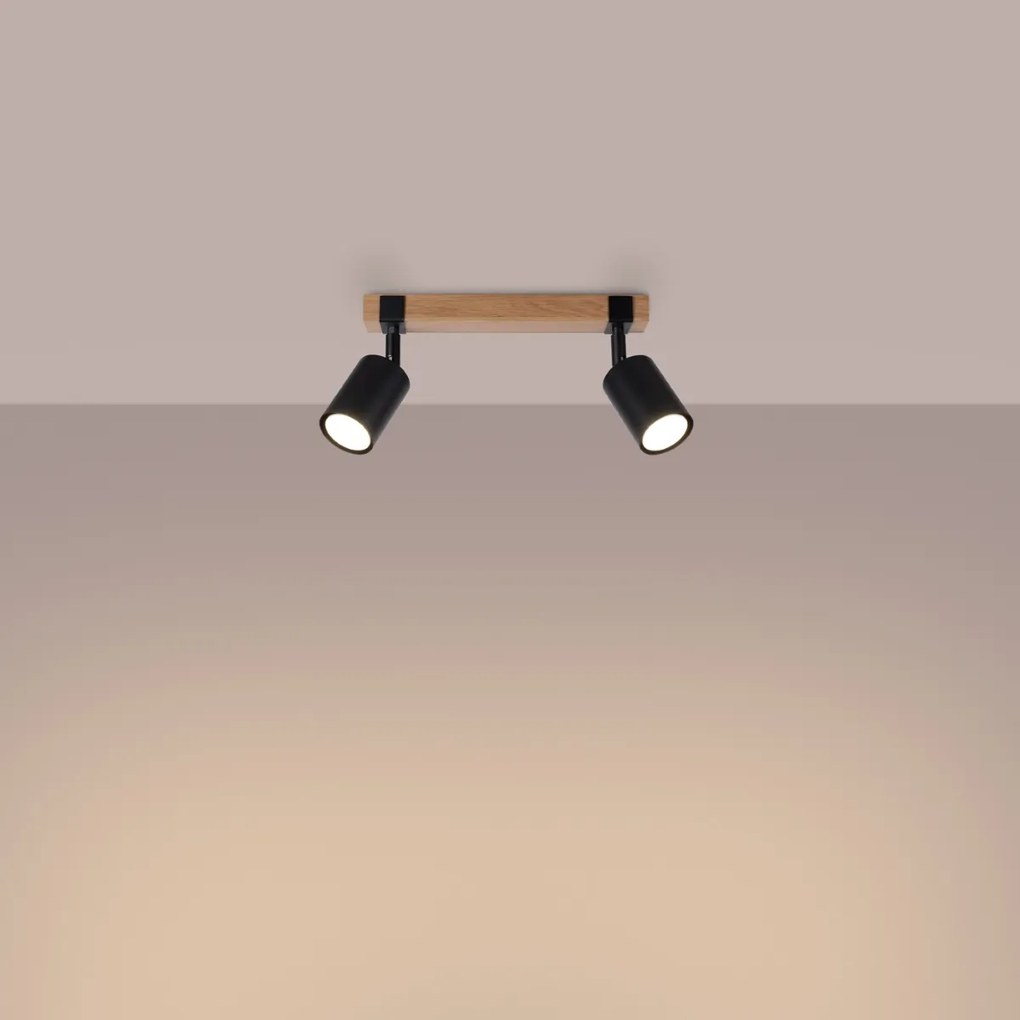Sollux Lighting Stropní svítidlo FAGER 2 černé