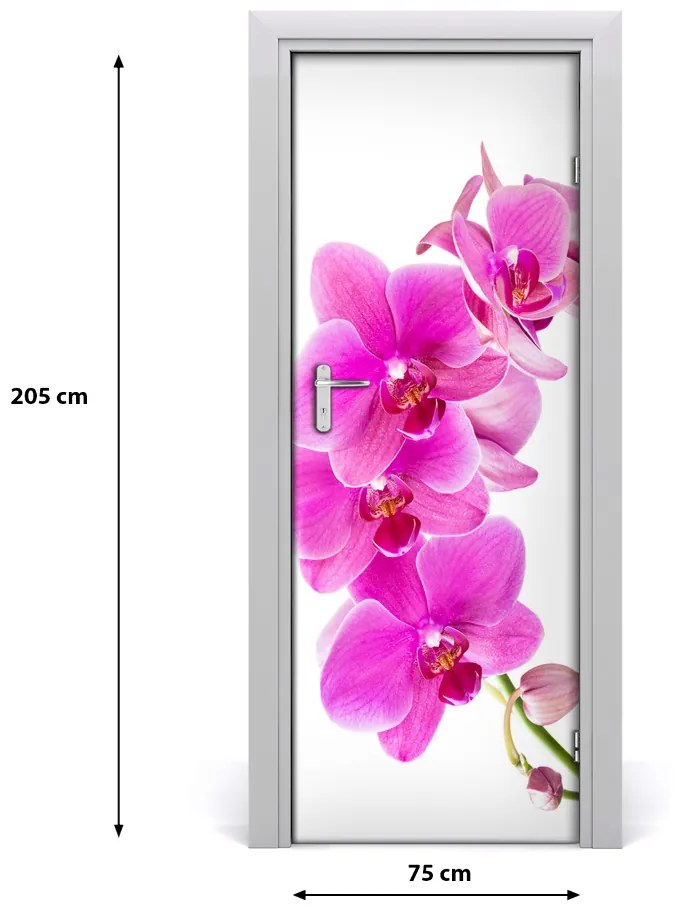 Fototapeta samolepící Růžová orchidej 75x205 cm