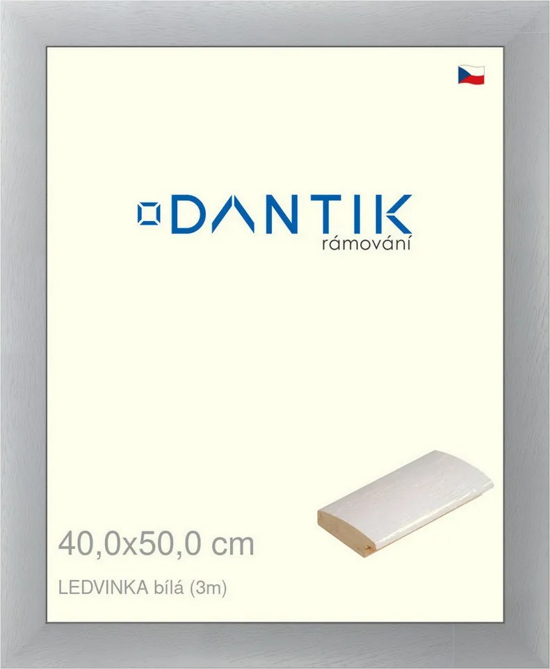DANTIK rámeček 40x50 | LEDVINKA bílá (Plexi Čiré)