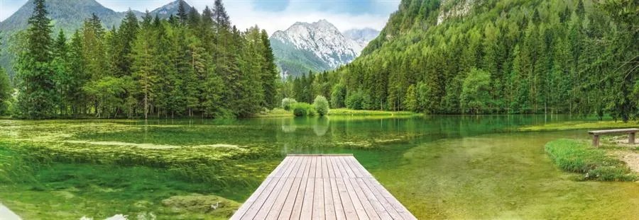 Komar Zelené jezero Planšarsko, čtyřdílná fototapeta National geographic, 368x127cm, 4D 4-538