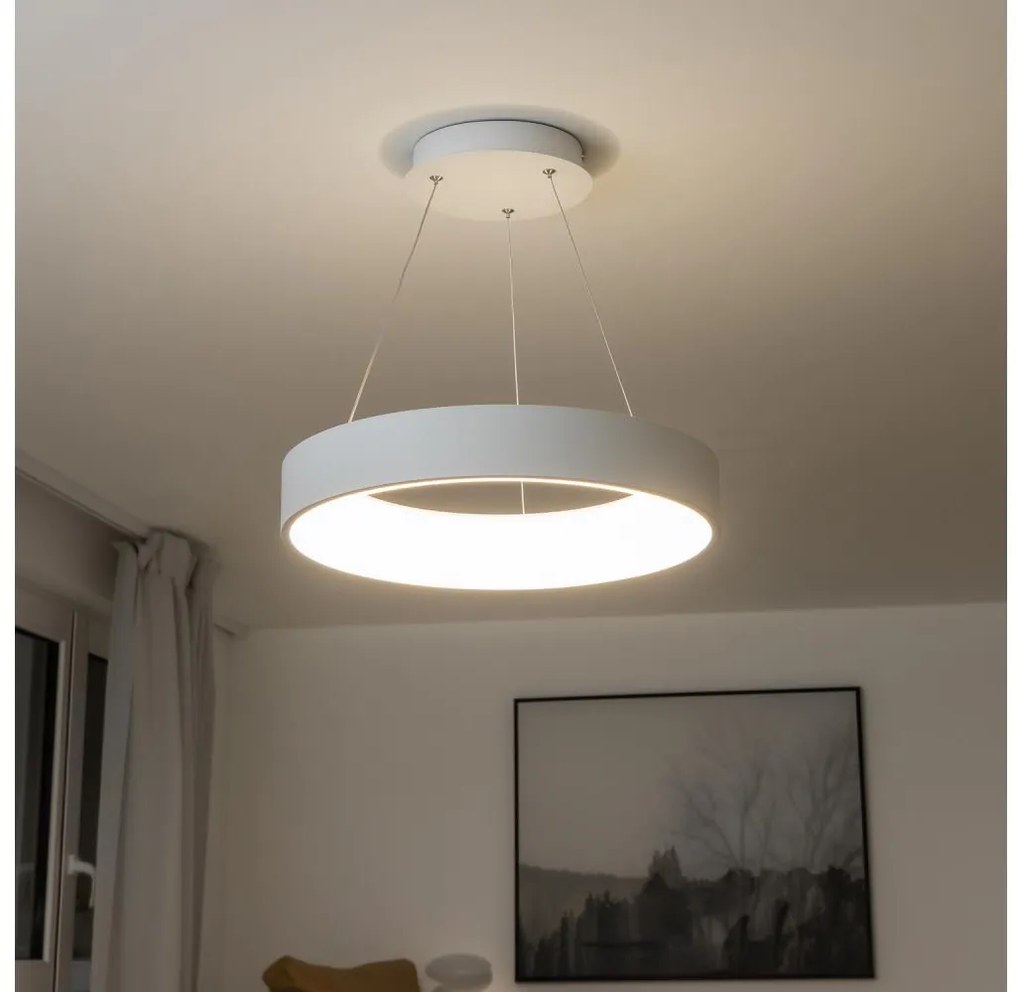 Brilagi - LED Stmívatelný lustr na lanku LED/40W/230V 3000-6500K bílá + DO