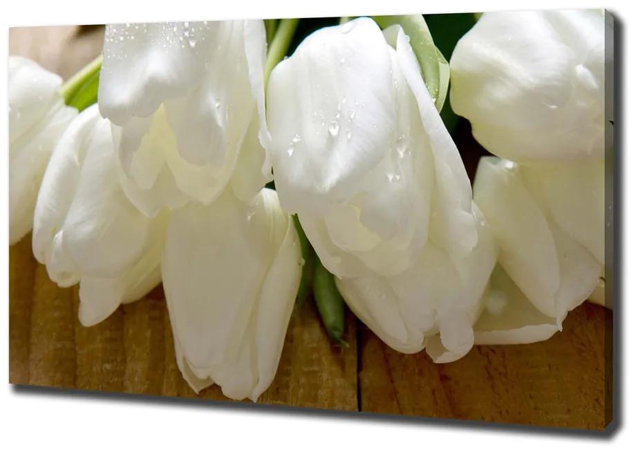 Wallmuralia Foto obraz na plátně Bílé tulipány 100x70 cm