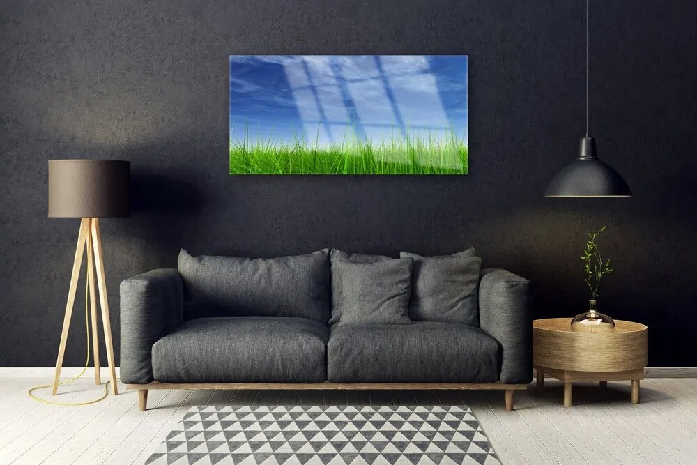 Obraz na skle Nebe Tráva Příroda 125x50 cm