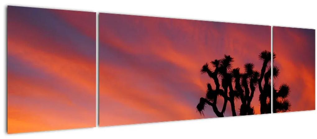 Obraz západu slunce nad siluetou stromu (170x50 cm)