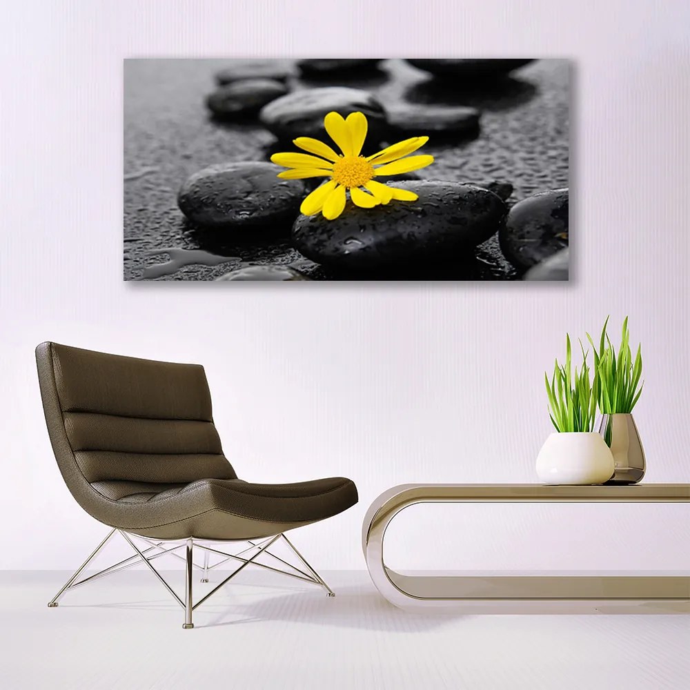Plexisklo-obraz Květ Kameny Rostlina Lázně 120x60 cm