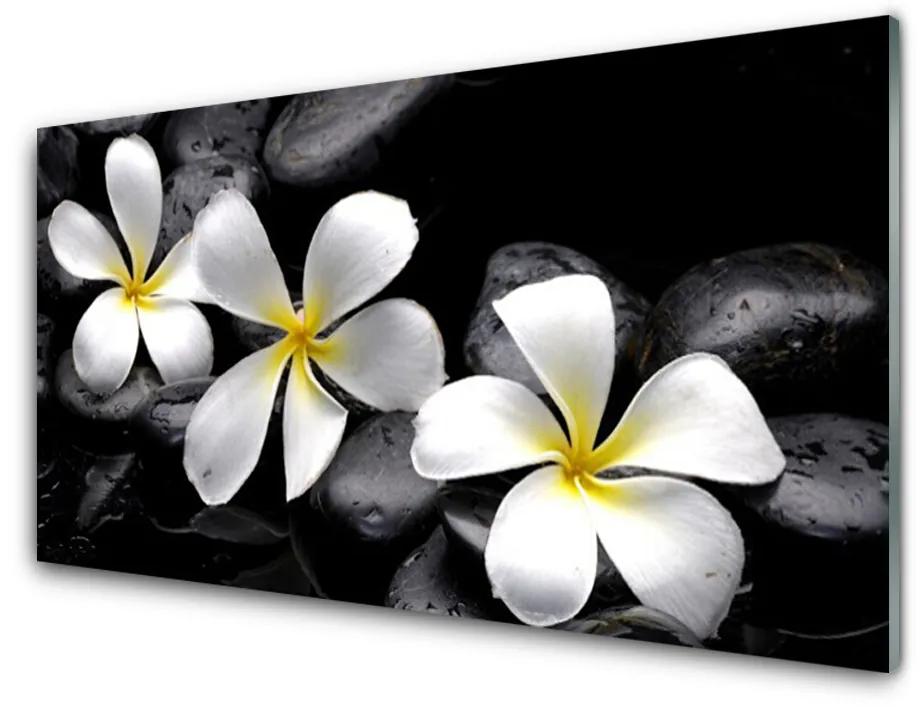 Obraz na skle Květ Kameny Rostlina 125x50 cm
