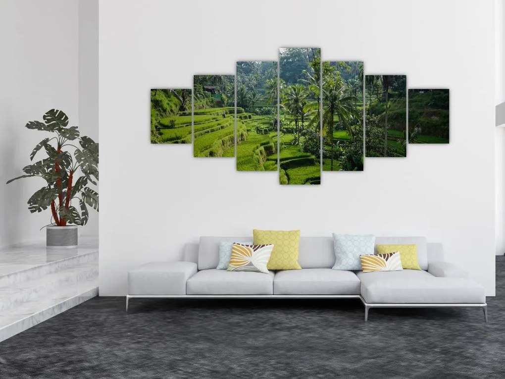 Obraz rýžových teras Tegalalang, Bali (210x100 cm)