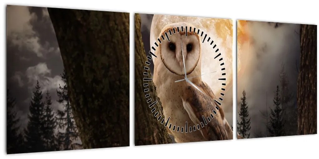 Obraz sovy pálené (s hodinami) (90x30 cm)