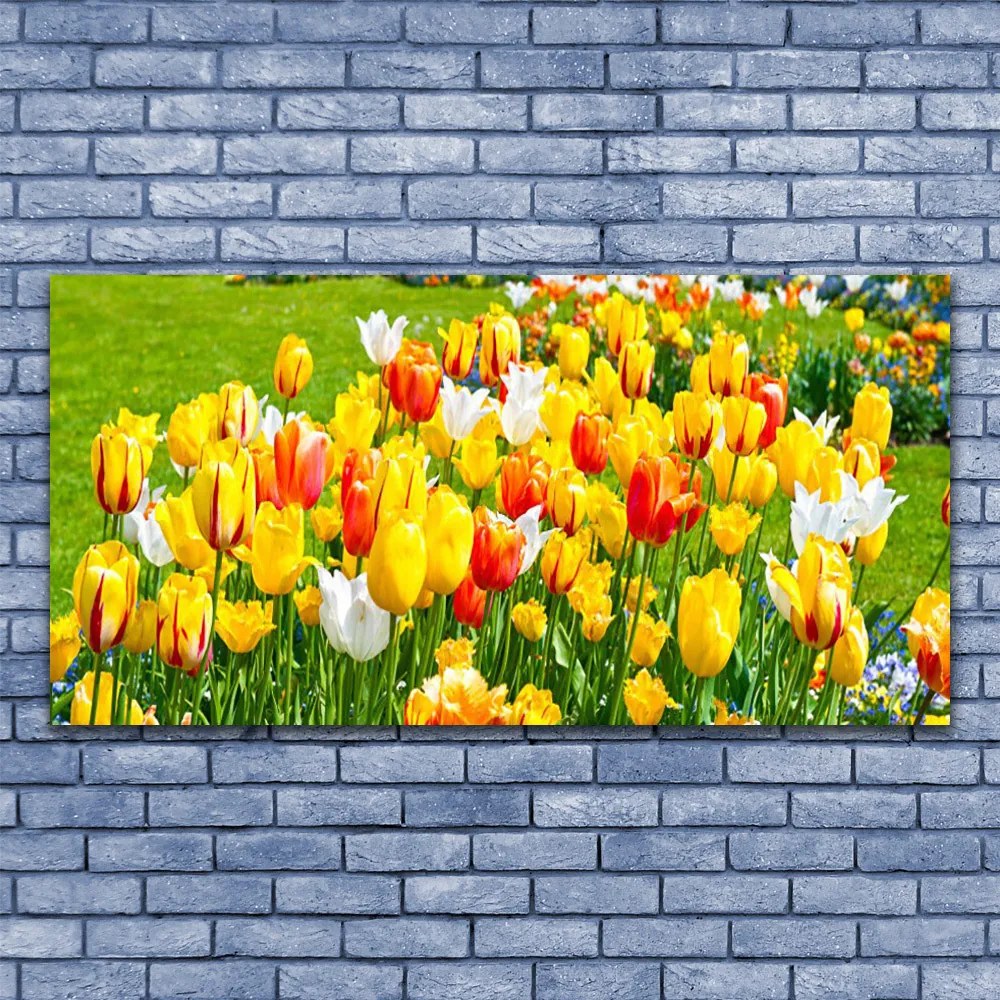 Plexisklo-obraz Tulipány Květiny Příroda 120x60 cm