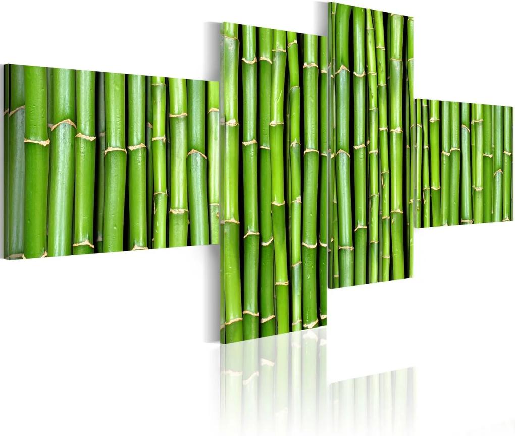 Obraz - Zelené lodyhy bambusu - 100x45
