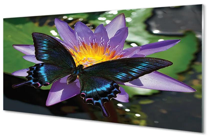 akrylový obraz motýl květina 100x50 cm