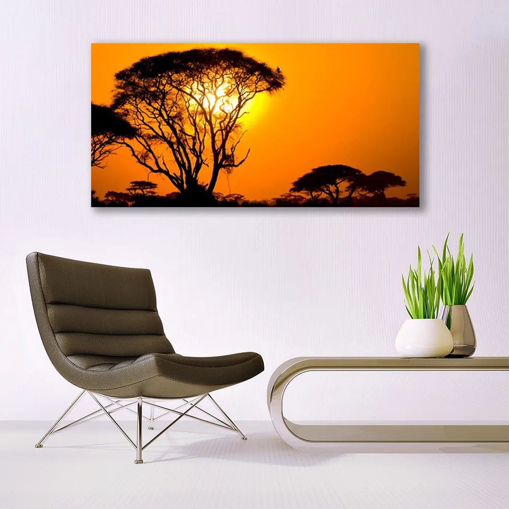 akrylový obraz Strom Slunce Příroda 120x60 cm