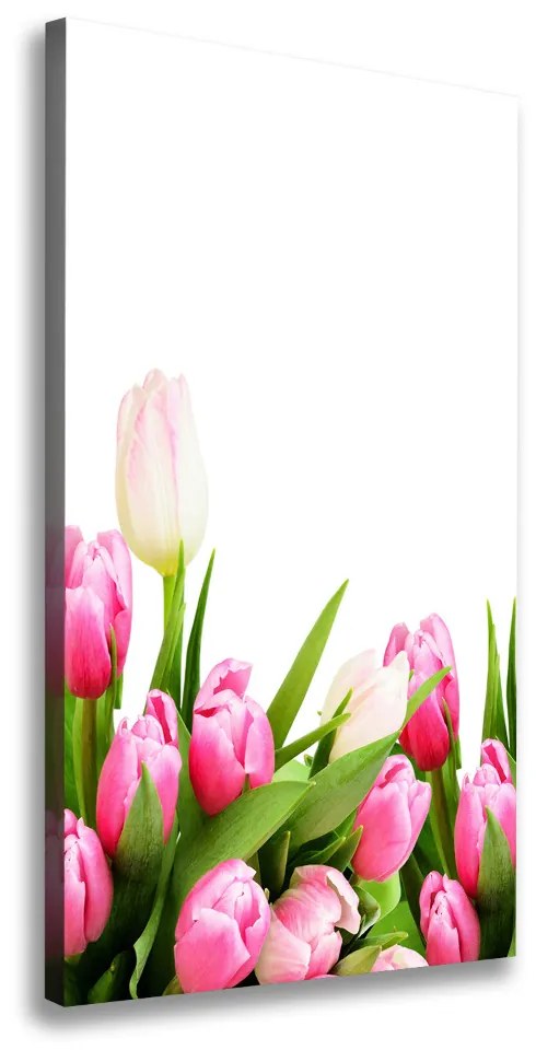 Wallmuralia Vertikální Foto obraz na plátně Růžové tulipány 50x100