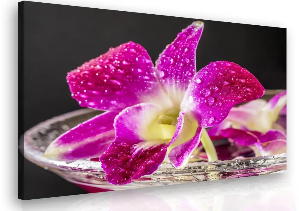 Obraz - orchidej fialová (90x60 cm) - InSmile ®