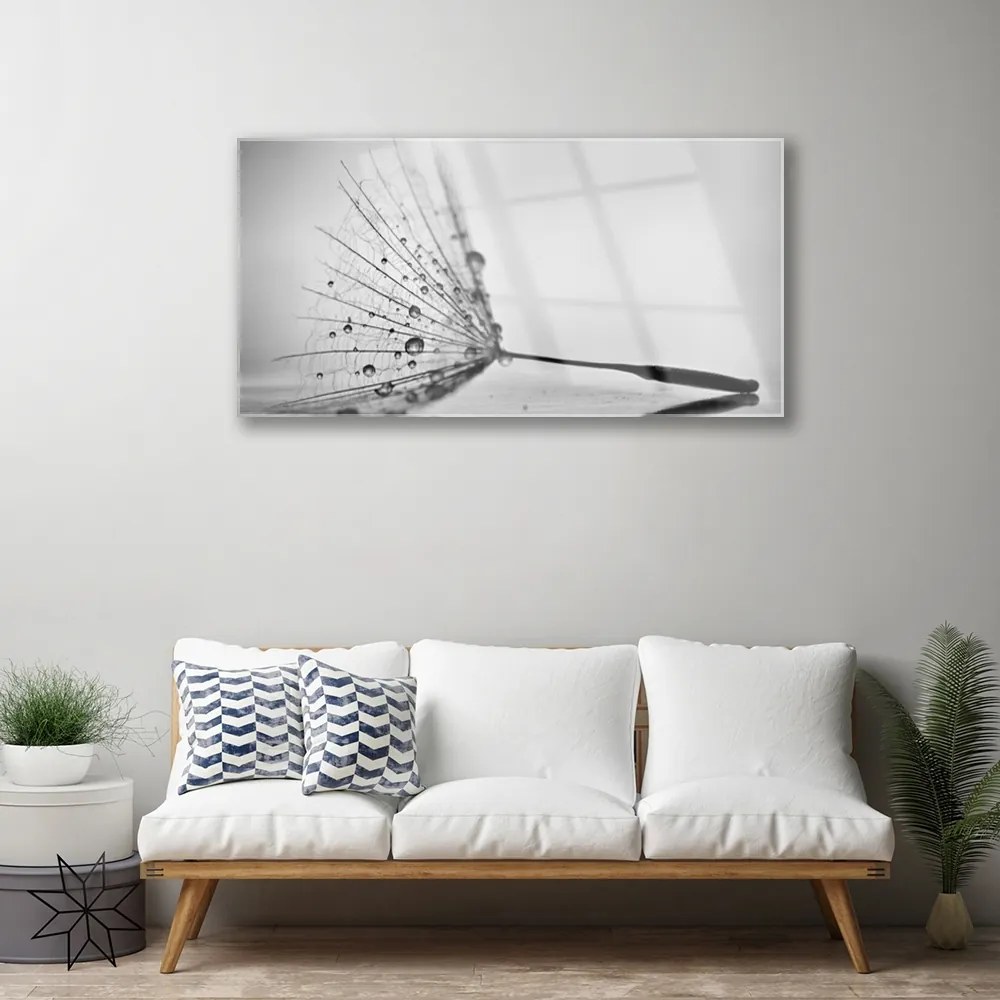 Obraz na skle Pampeliška Semínka 125x50 cm