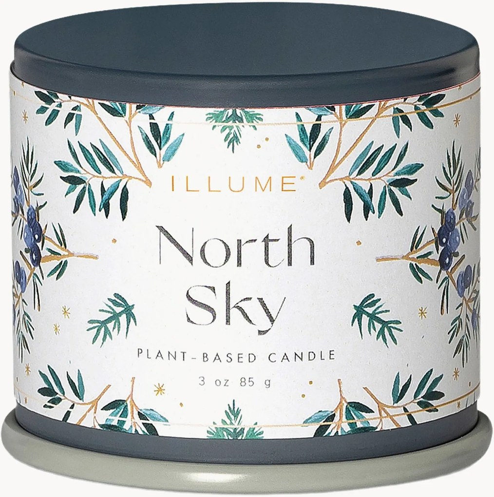 Vonná svíčka North Sky (citrusové plody, černý rybíz, ebenové dřevo)