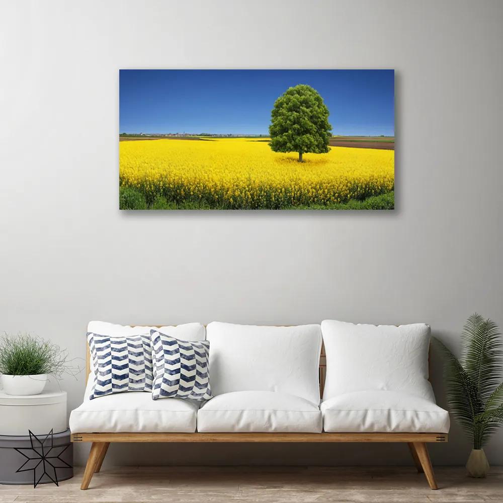 Obraz na plátně Louka Strom Příroda Pole 100x50 cm