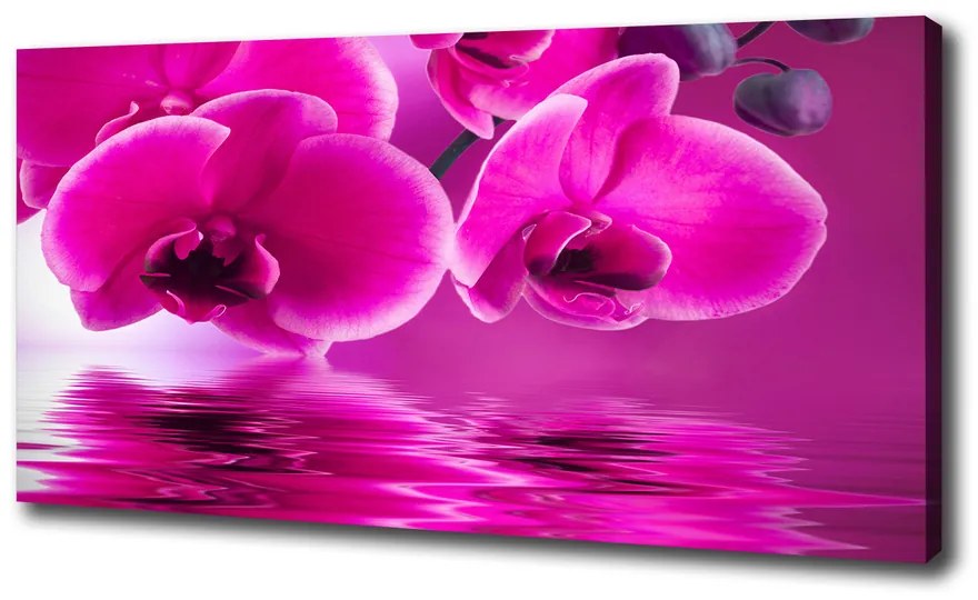 Wallmuralia Foto obraz na plátně Orchidej 100x50 cm