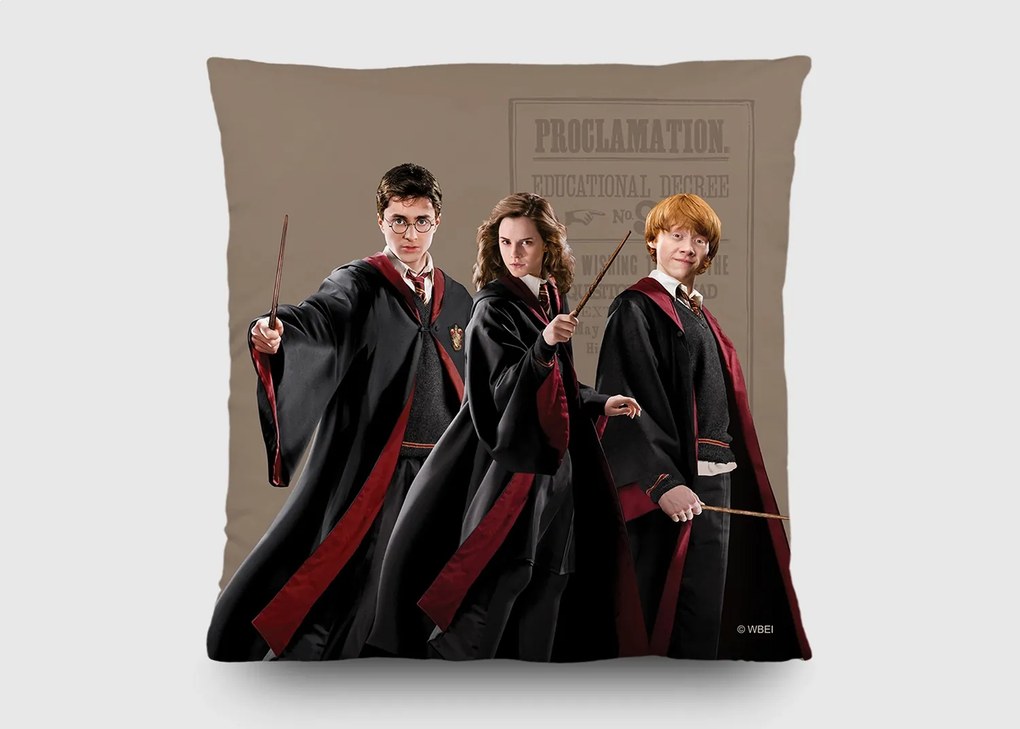 Dekorativní polštářek Harry Potter | 40 x 40 cm | DCND3155