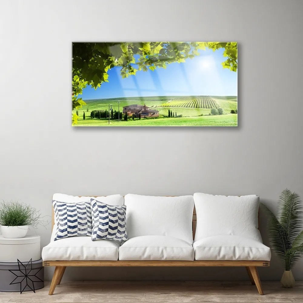 akrylový obraz Pole Listy Krajina 100x50 cm