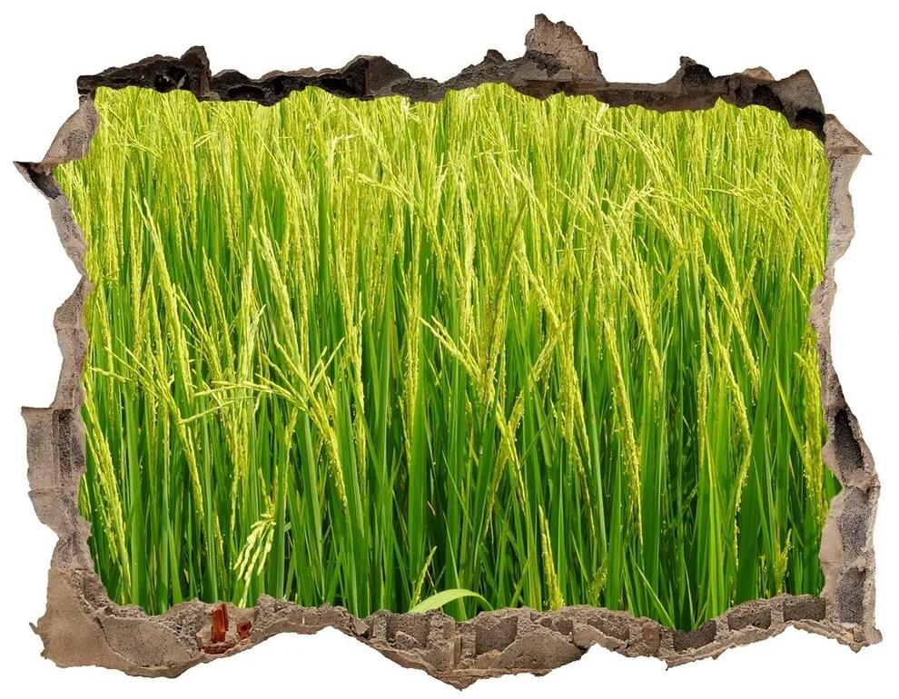 Wallmuralia Samolepící nálepka fototapeta Rýžové pole 95x64 cm