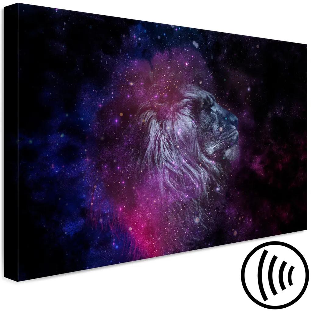 Obraz Vesmírný lev (1 kus) široký