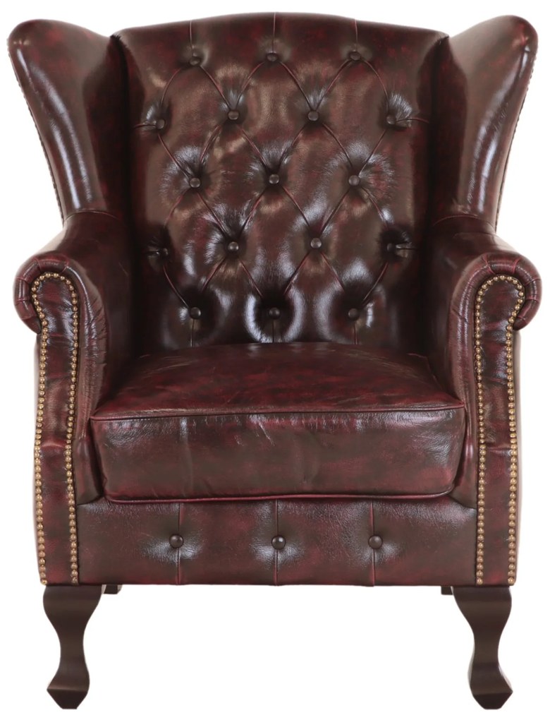 furniture-nabytek.cz - Křeslo Aberdeen z pravé hovězí kůže