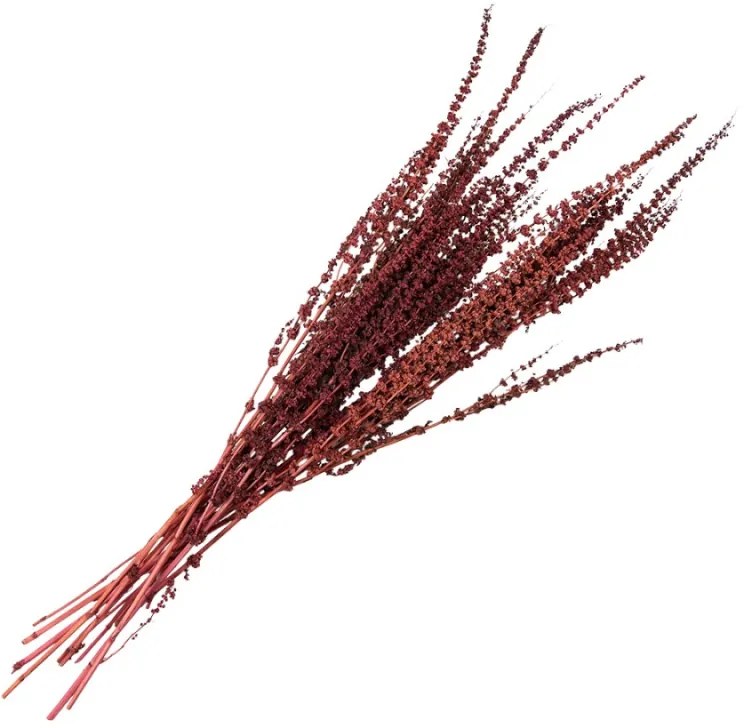 Sušené květy červené 85 cm (100 gr) – 85 cm