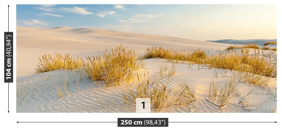 Fototapeta Bunesk Dunes 104x70