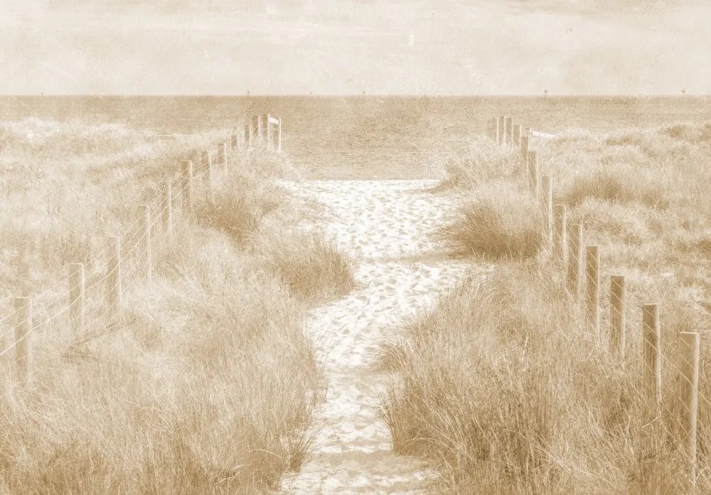 Fototapeta Pojďme Dolů Do Beach Faded Vintage Sepia Omyvatelný vlies 180x120