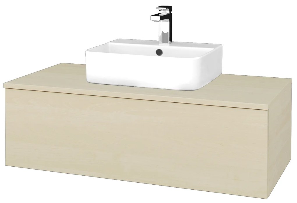 Dřevojas Koupelnová skříňka MODULE SZZ1 100 Varianta: N01 Bílá lesk / N07 Stone