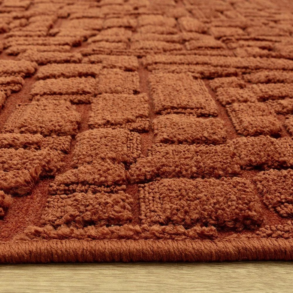 Koberec v terakotové barvě 200x290 cm – Asiatic Carpets