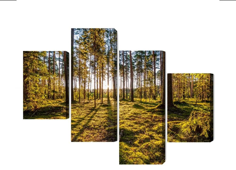 Vícedílný obraz 3D Slunečná Lesní Krajina Nedostatek Nedostatek Přírodní plátno 240x150
