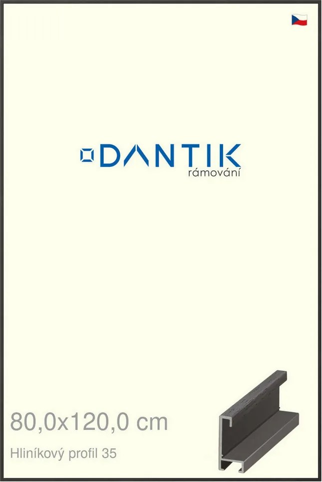 DANTIK rámeček 80x120 | ALU profil 6035 Dýha černá (Plexi Čiré)
