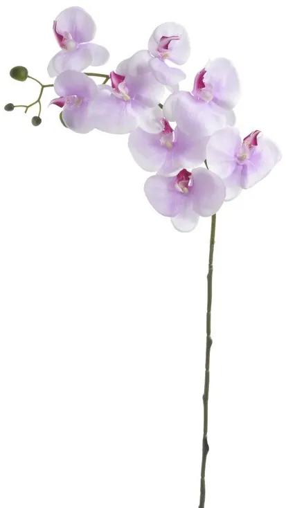 Orchidej růžová 100cm
