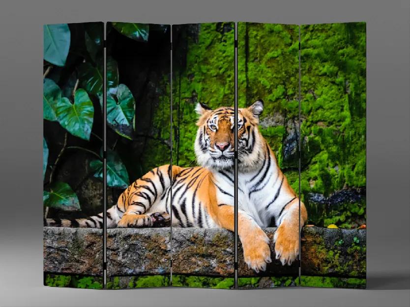 Liox Paraván ležící tygr Rozměr: 225 x 180 cm