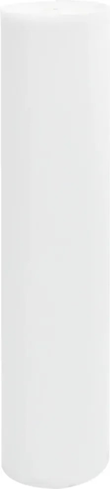 Ochranná textilie na rostliny 2 role 70 g/m² 50 x 1,6 m 3203510