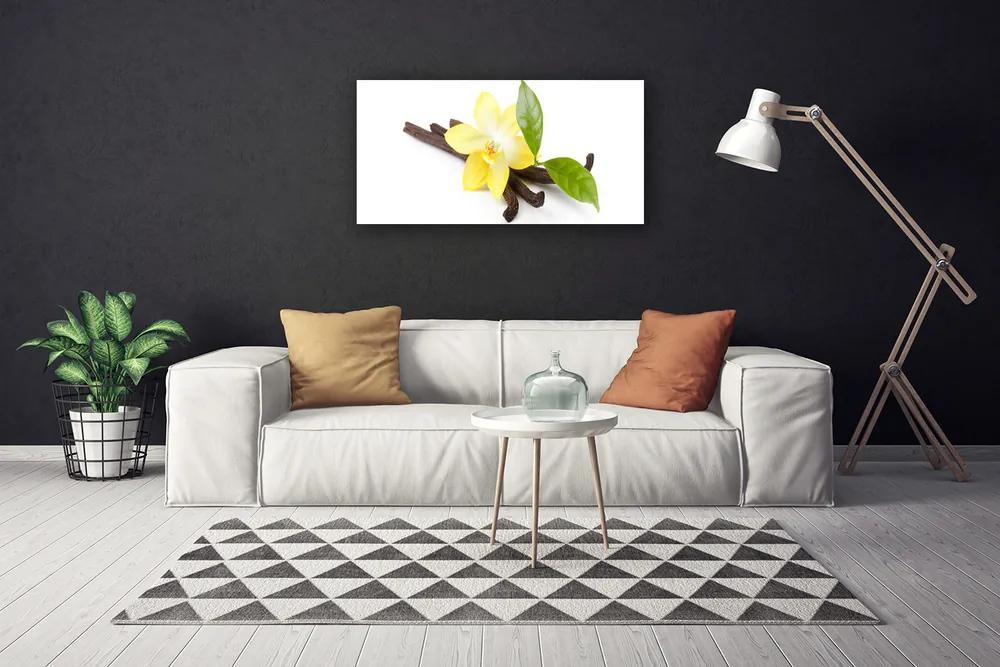 Obraz na plátně Vanilka Listy Rostlina 120x60 cm