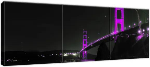 Tištěný obraz Violet Golden Gate Bridge - Tanel Teemusk 90x30cm 931A_3A