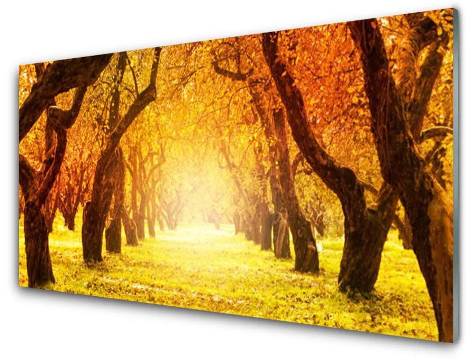Obraz na skle Les Stezka Stromy Příroda 125x50 cm