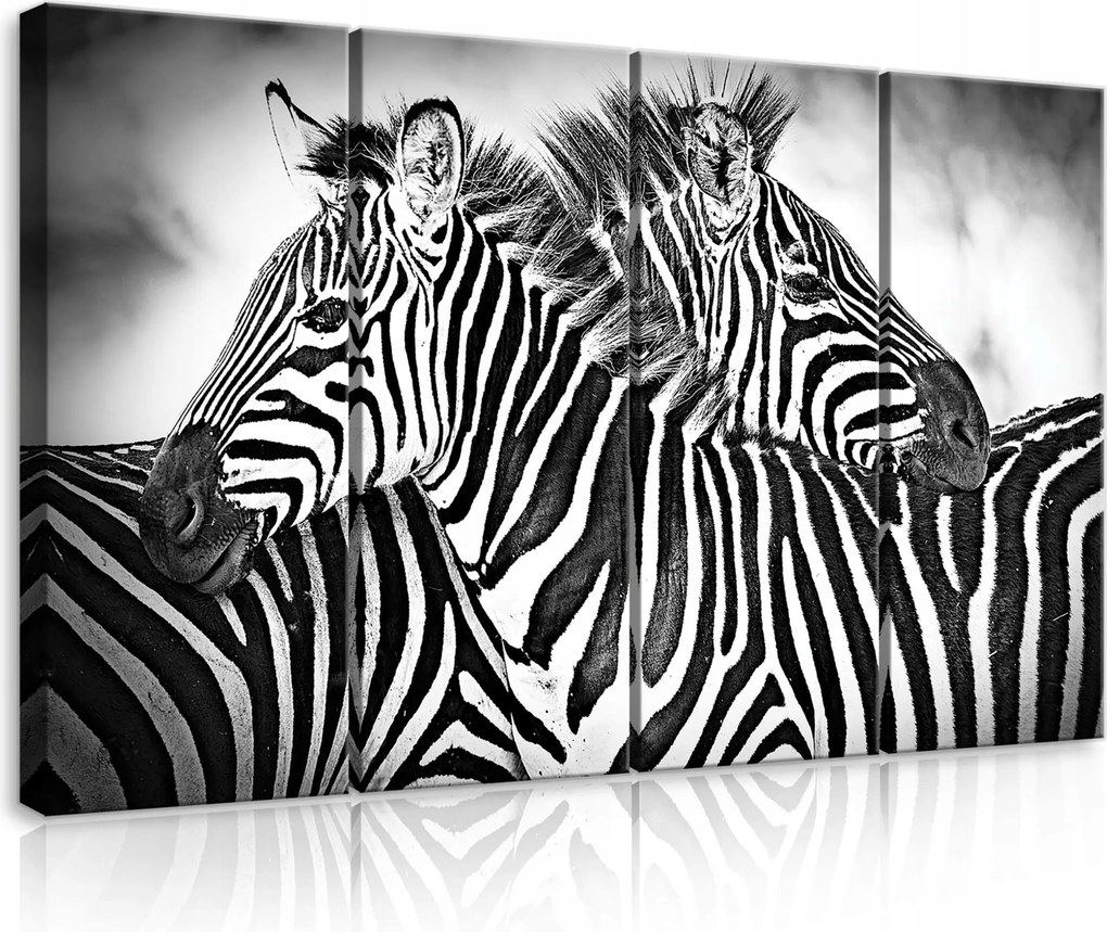 Obraz 120x80 Zebra pruhy černobílé safari zvířata příroda vzor grafika