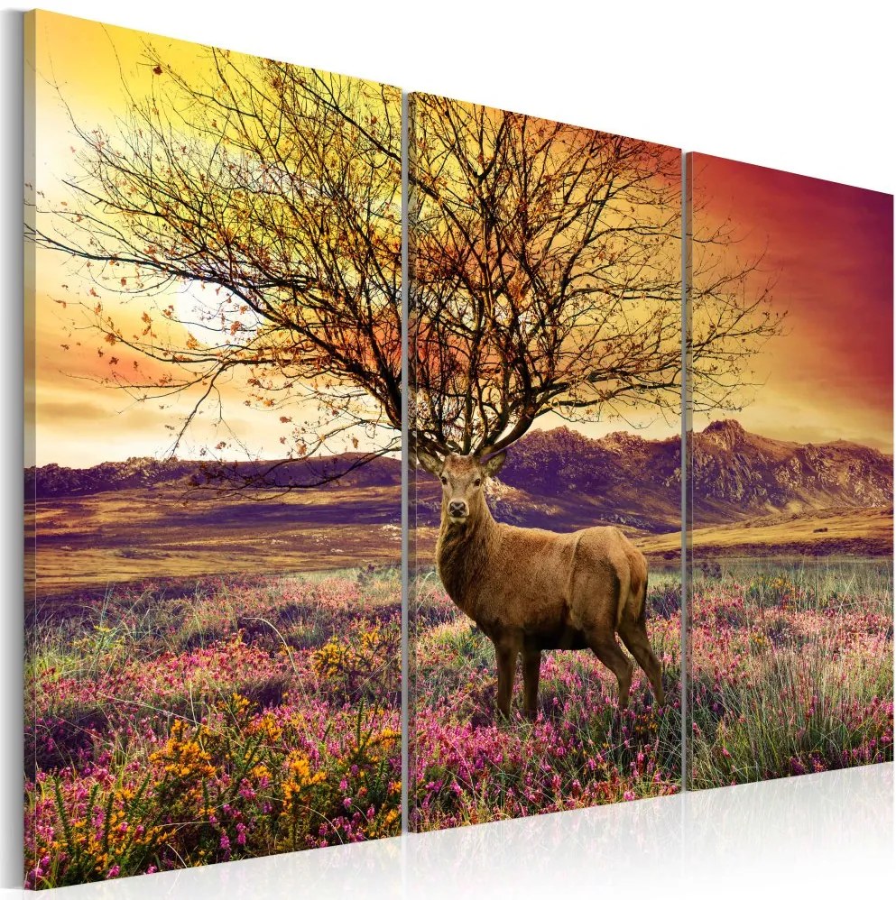 Obraz na plátně Bimago - Efektní paroh - triptych 60x40 cm