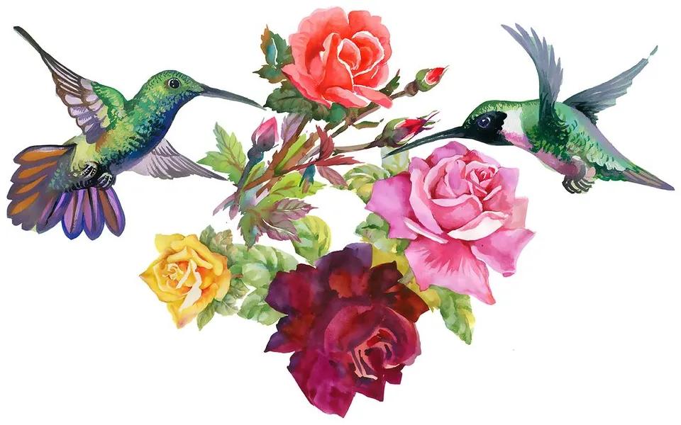 Samolepící tapeta kolibříky s květinami